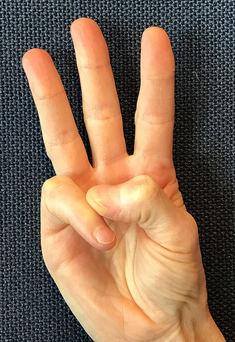 Signbank: Search Handshapes
