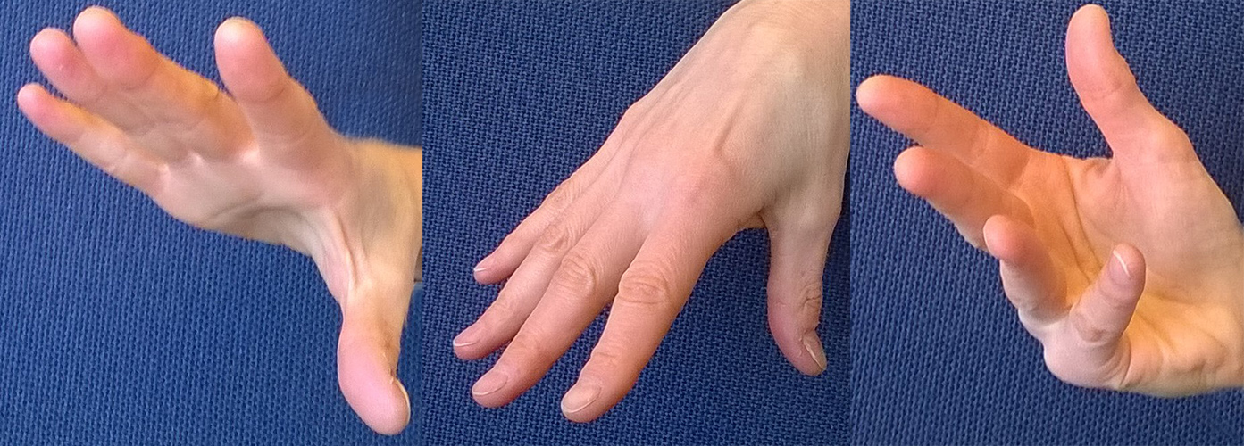 Signbank: Search Handshapes